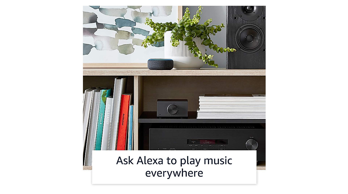 Echo Link: Hi-Fi Music Streaming for Your Stereo System