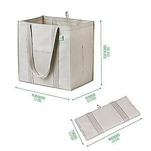 VENO 4 Pack Reusable Grocery Shopping Bag w/bottle holder, Hard bottom, Foldable, Multipurpose Heavy Duty Tote, Daily Utility bag, Stands Upright, Sustainable (Set of 4, Beige)