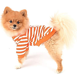 Zunea Dog Shirts for Small Dogs Girl Boy Summer Puppy Vest Clothes Soft Cotton Striped Sun Protection Tee Shirt Short Sleeve Pet Dog Chihuahua Apparel Cat Clothing Orange XL