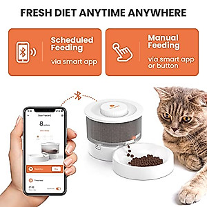 DOG CARE Automatic Cat Feeders, Cordless Automatic Slow Feeder Prevents Bloating for Small Dogs, 4-Cup Capacity Timed Cat Feeder with Meal Times and Portion Control, APP Control Pet Dry Food Dispenser