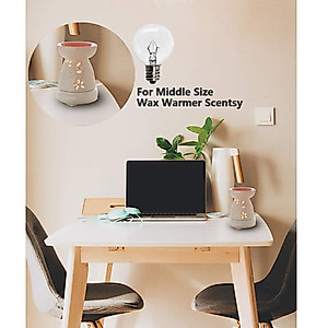 4 Pack Wax Warmer Bulbs,20 Watt Bulbs for Middle Size Scentsy Warmers,G30 Globe E12 Incandescent Candelabra Base Clear Light Bulbs for Candle Wax Warmer