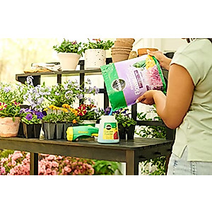 Miracle-Gro Water Soluble Bloom Booster Flower Food, Plant Food for Annual and Perennial Flowers, In-Ground and Container Plants, Roses, Hydrangeas, Hibiscus, 5.5 lb.