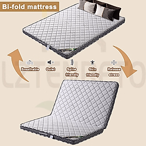 LZTENRETO Firm Coconut Palm Mattress Organic Coconut Coir Mattress Quiet Coir Mattress Pad Thick Coir Mattress 6cm 9cm 11cm Spine Friendly (White-B,Full 11cm)