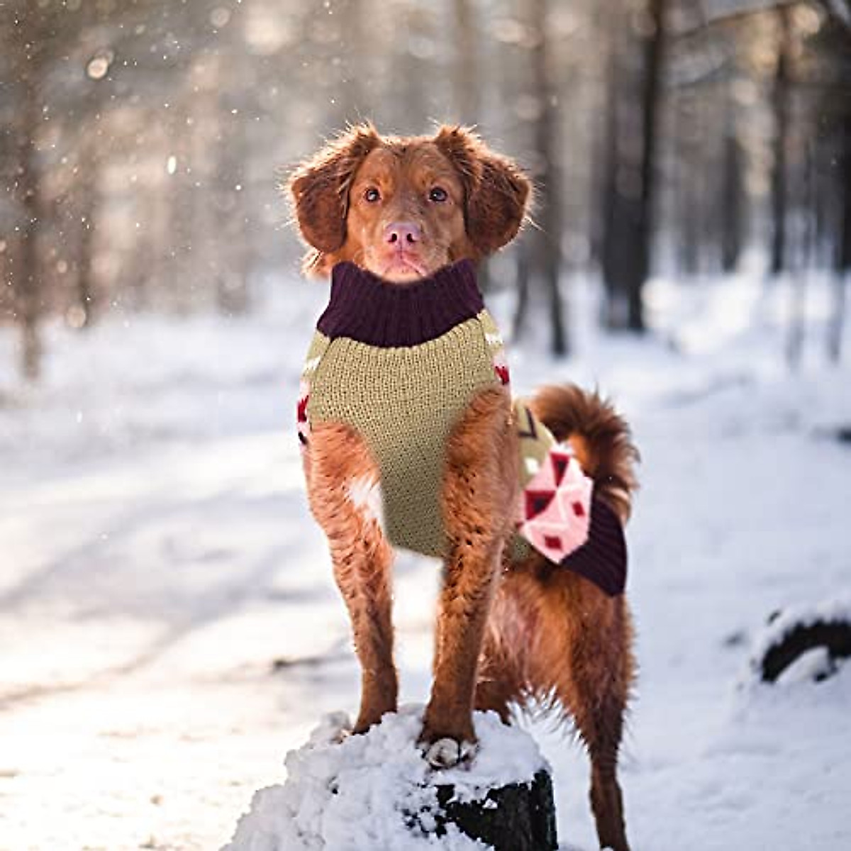 AXIIJGL Pet Dog Sweater Dog Clothes Soft Knitted Warm Pup Cat Dogs Jumper Winter Puppy Sweater for Dogs(Pink Heart,XL)