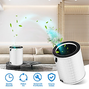 GoKBNY 1-PACK Max/Mage/Mage Pro Replacement Filter Compatible with MAX/MAGE/MAGE PRO Purifiers and Sans/Air-Honati/Compass Home Smart/Taylor Swoden/Cuckoo CAC-J1510FW/Rosewill RHAP-20001, 20002