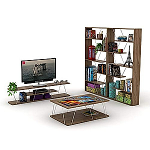 DSHADE Modern 6 Tier Book Shelf Solid Wood Tall Bookshelf Organizers Open Display Shelf Book Home Office Furniture Bookcase Open Display Shelf for Living Room Home Office (Walnut/Chrome)