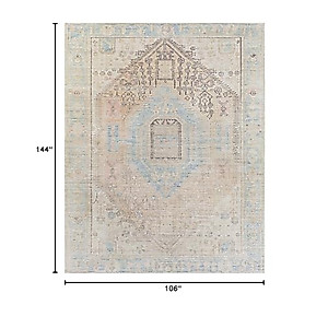 Mark&Day Washable Rugs, 9x12 Oak Lawn Traditional Tan Area Rug, Blue Beige Brown Carpet for Living Room, Bedroom or Kitchen (8'10" x 12', Machine Washable)