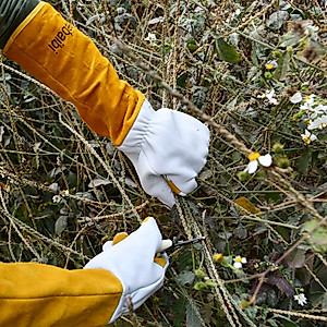 Long Gardening Gloves,Thorn Proof Genuine Leather Work Gloves, Garden Gloves with Long Cowhide Gauntlet to Protect Your Arms Until the Elbow, Working Gloves for Man and Women (Medium, Brown)