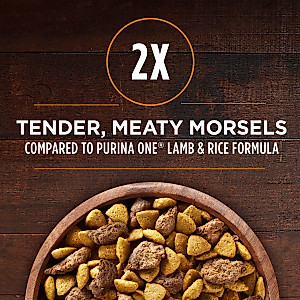 Purina ONE High Protein, Natural Dry Dog Food, True Instinct With Real Turkey & Venison - 3.8 lb. Bag