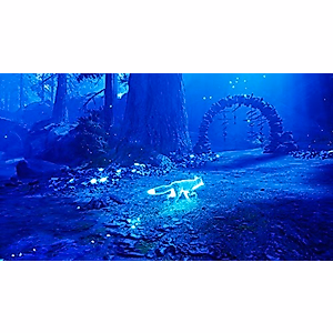 Spirit of The North (PS4)