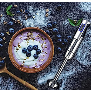 CHEW FUN Multipurpose Immersion Hand Blender Poweful 500 Watt,9-Speed,High Power Low Noise,3-in-1 includes Detachable Chopper,Egg Whisk,Milk Frother