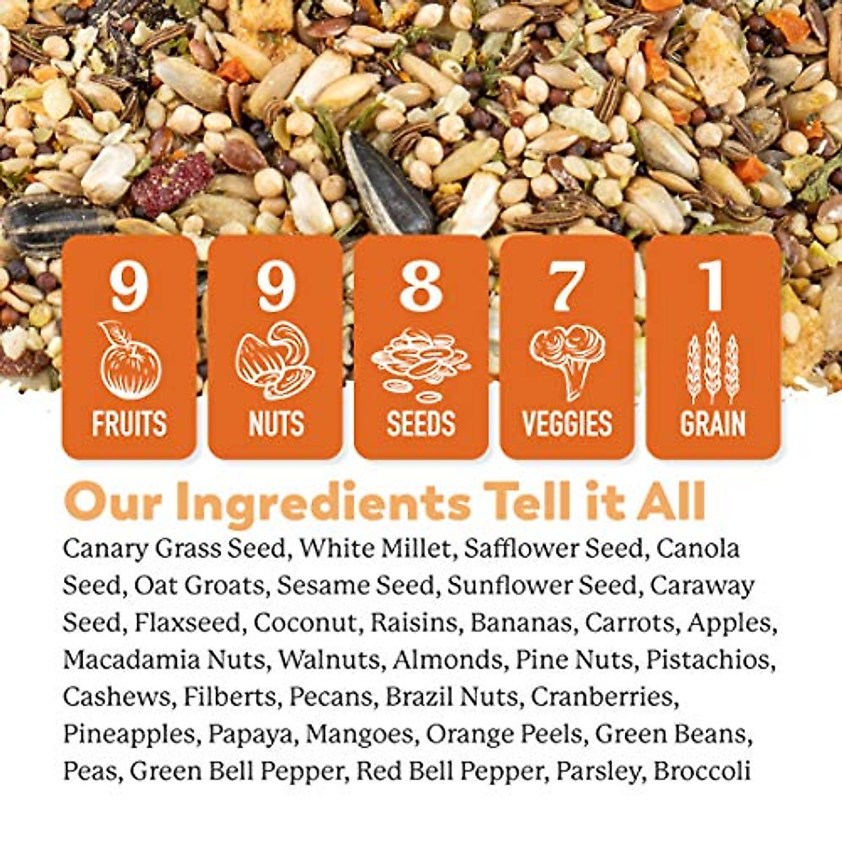 Dr. Harvey's Colossal Cockatiel Blend, All Natural Daily Food for Cockatiels (4 pounds)