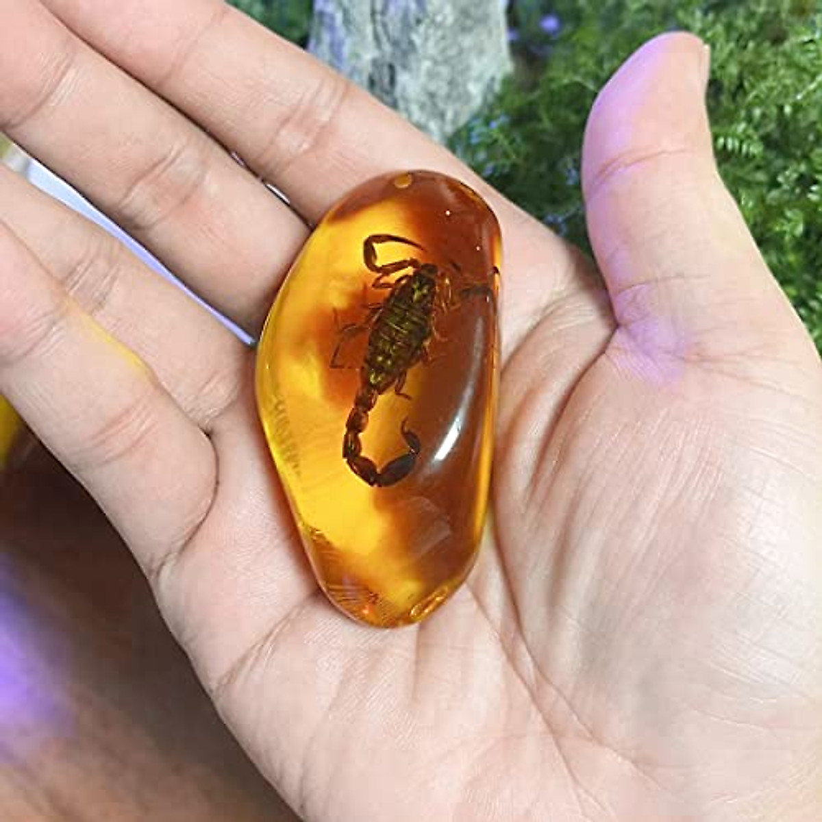 8pcs Amber Fossils with Insects Samples Stones Crystal Samples for Home Decorations Collections Oval Pendants Pendant Science Educational (8 Pcs)