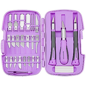 FantastiCAR Craft Knife Precision Cutter Hobby Knife Blades Set (30pcs) for Art Work, Scrapbooking, Stencil, Architecture Modeling, Wood Leather Working (Purple)