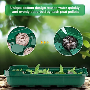 TITA-DONG 6 Pack Seed Propagator Tray Set, Mini Sturdy Windowsill Trays with Cover Dome, Greenhouse Grow Trays Mini Propagator for Seeds Growing Starting(White)