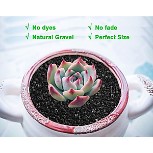 Boniosz 5lb Succulents and Cactus Black Sand, Décor & Additive Tiny Stones,DIY Rocks Gravel for Bonsai, Fairy Gardening, Terrarium, Vases Fillers