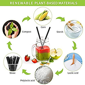 [100 Pcs] Biodegradable Compostable Individually Wrapped Straws - PLA Disposable Plant Based Black Straws (8.25" LongX0.23" Wide)