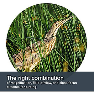 Celestron – Nature DX 8x42 Binoculars with Bonus Lens Cleaning Kit – Outdoor and Birding Binocular – Fully Multi-Coated Optics with Phase Coated Prisms – Rubber Armored – Fog & Waterproof Binoculars