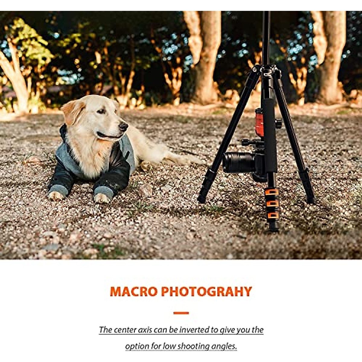 GEEKOTO Camera Tripod for DSLR, Compact Aluminum Tripod with 360 Degree Ball Head and 8kgs Load for Travel and Work