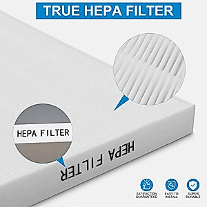 4 Pack 115115 HEPA Replacement Filter A Size 21 - Compatible with Winix PlasmaWave C535 5300 5300-2 6300 6300-2 P300 AM90 9000 5000 5000B C909 9800 Air Purifier