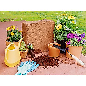 Envelor Coco Coir Brick Coconut Fiber for Plants Natural Garden Soil for Vegetables Potting Soil Block Coco Peat Coco Coir Bulk Coconut Husk Planting Soil 10 lbs Compressed Coconut Coir Brick, 1 Pack