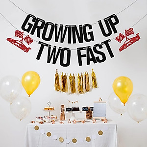 Growing Up Two Fast Banner, Happy 2nd Birthday Decorations, Race Car Theme Party Decors, Racing Party Second Birthday Party Supplies Black Red Glitter