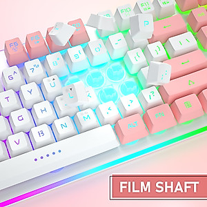 Camiysn Gaming Keyboard, Wired Keyboard with RGB Backlit, Full Size Keyboard with White&Gray Mixed Color Keycaps, Keyboard with 26 Keys Anti-ghosting for Computer/PC/Laptop/Mac/Windows/Office