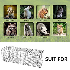Jahy2Tech Collapsible Cat Trap 26"x10"x9" Steel Humane Live Animal Trap for Rabbits, Stray Cat, Squirrel, Raccoon, Opossum, Gopher, Chicken