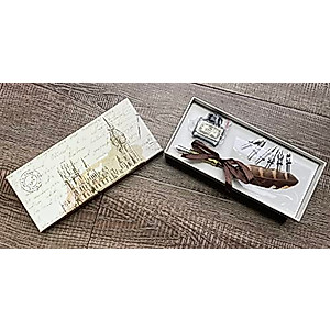 hhhouu Feather Pen and Ink Set, Quill Pen Set Antique Dip Pen with Ink and 6 Replacement Nibs 6pcs Nibs Calligraphy Pens for Beginners HO-Q-300