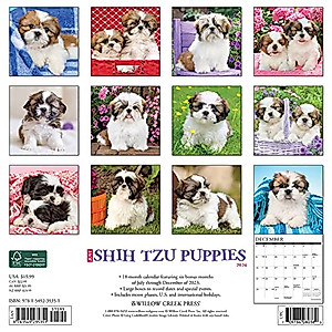 Willow Creek Press Shih Tzu Puppies Monthly 2024 Wall Calendar (12" x 12")