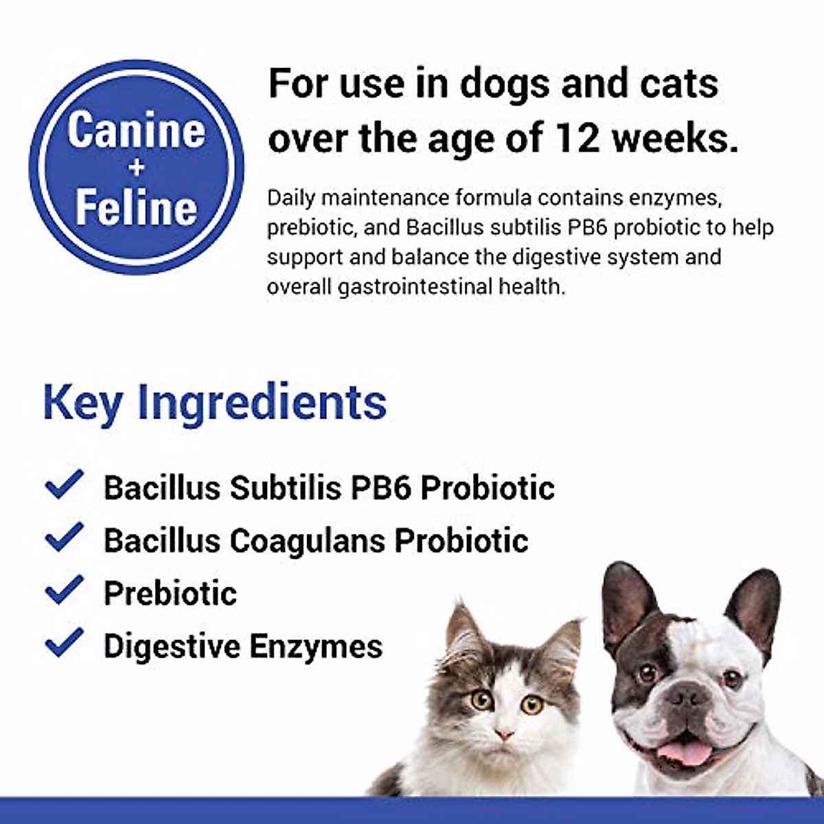 Vet Classics Protegrity EZ Probiotic Health Supplements for Dogs, Cats – Dog Digestive Support, Pet Gastrointestinal Health, Cat Stomach, Intestinal Balance – Pet Enzymes – 120 Soft Chews