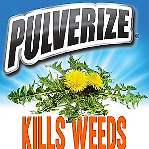 Pulverize Non-Selective Weed and Grass Killer Spray - Fast Acting, Non-Staining Weed and Crabgrass Killer - 32 Ounce Trigger Spray Bottle