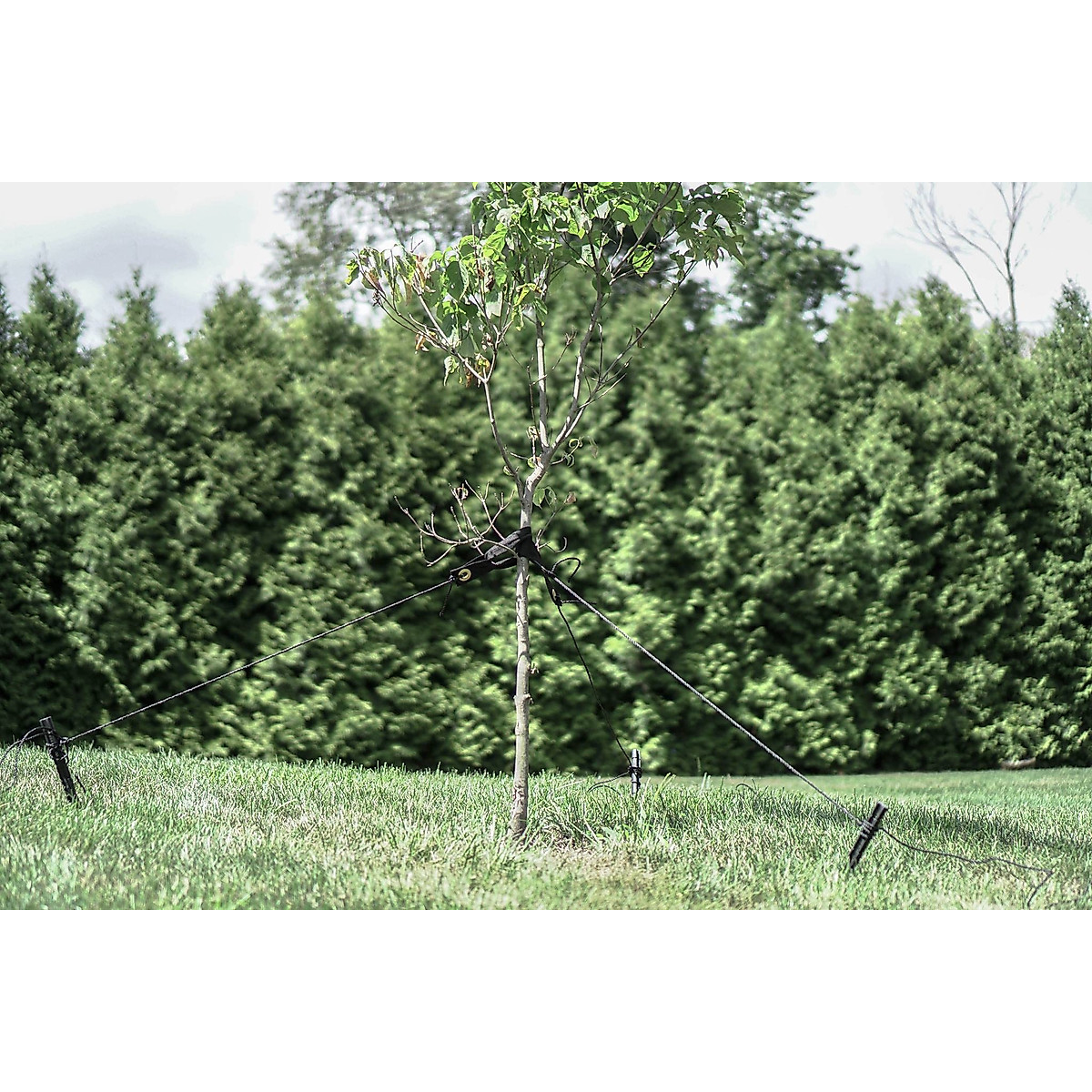 Tree Watering Bag 20 Gallon - Slow Release Drip Irrigation Bag + Staking Kit + Trunk Sleeve