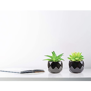 Canirologas 4pcs Succulents Artificial Plants in Pots Small Fake Plants Mini Artificial Greenery for Home Bathroom Desk Office Indoor Room Farmhouse Decorations