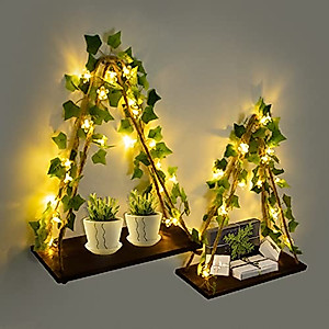 Doozx Hanging Shelves with Led-Strip - Set of 2, Macrame Wall Hanging Shelves for Wall Decor for Bedroom Living Room Bathroom, Boho Room Decor Aesthetic, Hanging Shelf, Wall Shelves Plant Decor