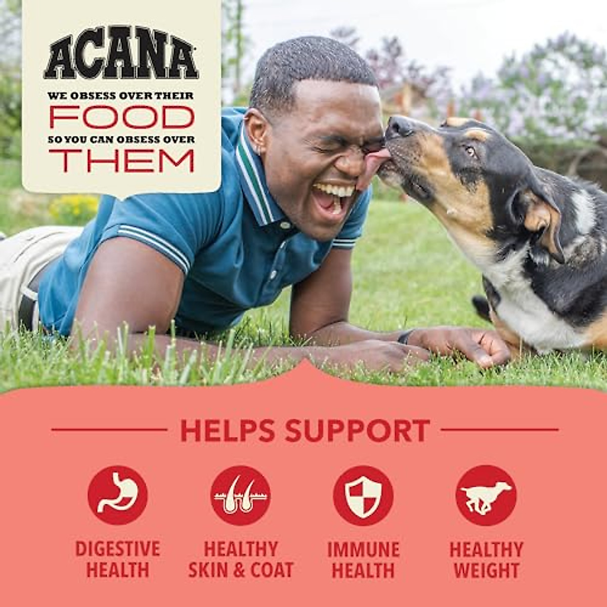 ACANA Wholesome Grains Dry Dog Food, Red Meat and Grains, Gluten Free, Beef, Pork, and Lamb Recipe, 4lb