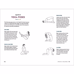 Chakra Healing: A Beginner's Guide to Self-Healing Techniques that Balance the Chakras