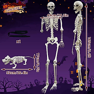 Lodou 5.4Ft Posable Life Size Human Adult Skeletons with Dog Skeleton, Plastic Human Bones with Movable Joints for Halloween Decoration