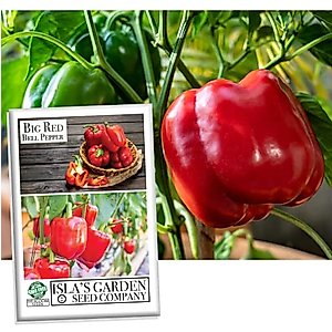 Big Red Bell Pepper Seeds for Planting, 50+ Heirloom Seeds Per Packet, (Isla's Garden Seeds), Non GMO Seeds, Botanical Name: Capsicum annuum, Great Home Garden Gift