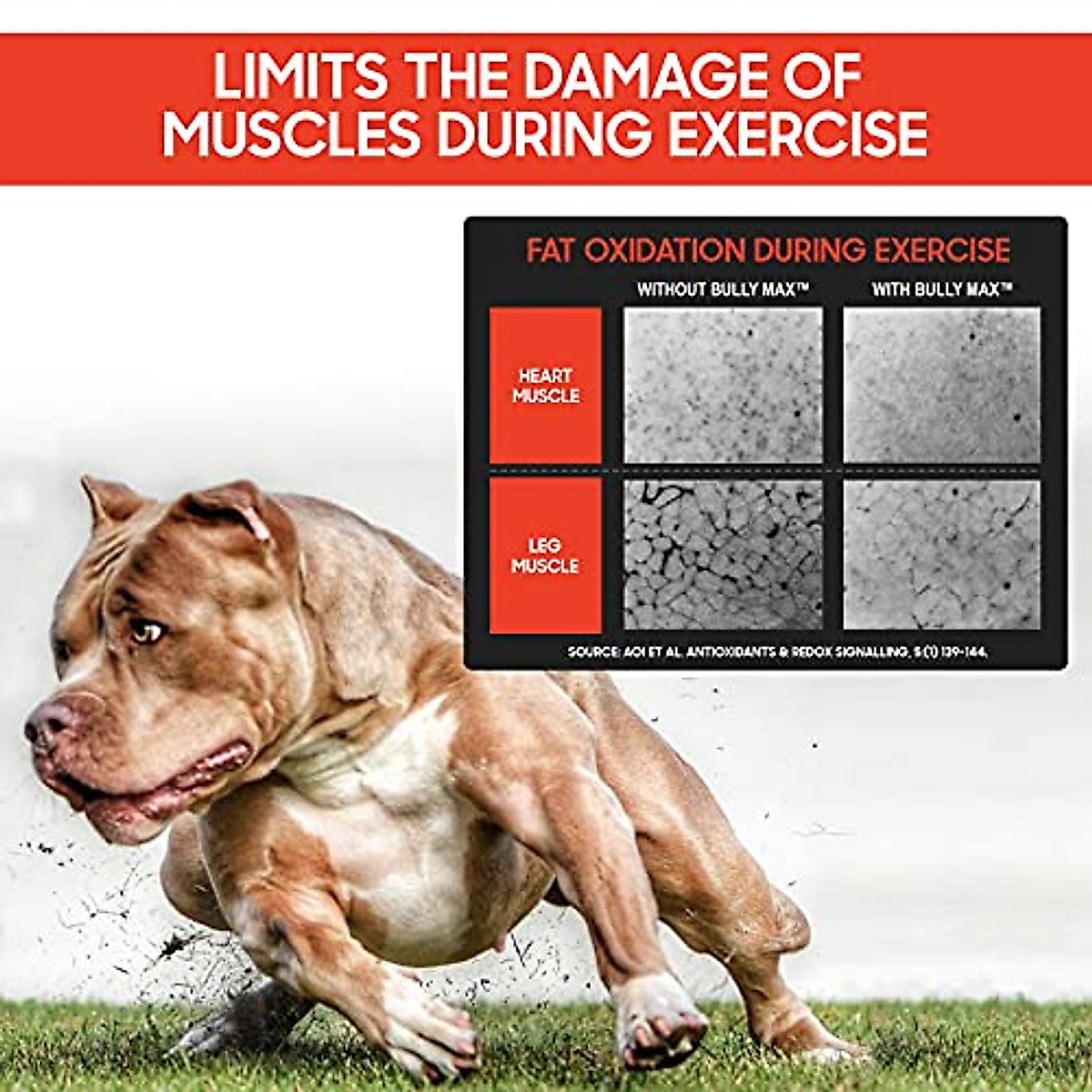 Bully Max 3-IN-1 Liquid Muscle Building Supplement For Dogs. For all breeds & ages. Clinically tested. #1-rated since 2008