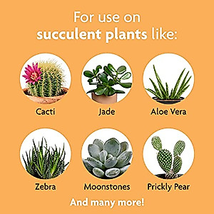 Miracle-Gro Succulent Plant Food, 8 Oz., For Succulents including Cacti, Jade, And Aloe, 1 Pack