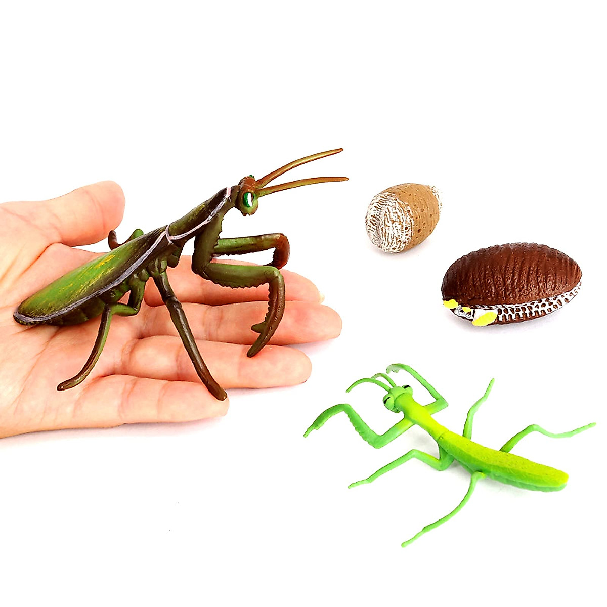 Odowalker 24PCS Life Cycle Figures,Insect Figurines Life Cycle of Monarch Butterfly,Honey Bee,Ladybug,Praying Mantis,Dragonfly,Grasshopper Safariology Bug Figures Kits Educational School Project