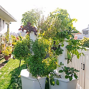 Aerospring Standard Outdoor Vertical Hydroponic Growing System Kit, Grow 27 Large Lettuce, Vegetables, Herbs, Fruit | 20 Gallon Water Tank, 20' Pump Cable, Smart WiFi Timer | Easy Assembly & Use