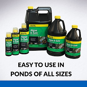CrystalClear Algae D-Solv Pond Algae Control, Fast-Acting EPA Registered Algaecide, Use in Fountains & Outdoor Ponds Containing Koi & Other Fish, Treats 5,760 Gallons, 16 Ounces