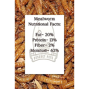 Deseret Pets Live Mealworms 500 Count Large (0.75-1")