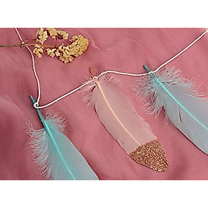 Hapy Shop Feather Garland Pale Pink and Blue Feather Banner,Gold Glitter for Party Decorations,Wedding,Boho Chic,10 feet