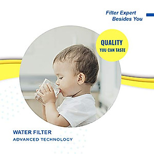 EXCELPURE RPWF Replacement for GE RPWF (Not RPWFE), RWF1063, RWF3600A, WSG-4, DWF-36, R-3600, MPF15350, OPFG3-RF300, Refrigerator Water Filter,3PACK
