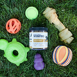 WINPRO Recovery Chews for Dogs, Plasma-Powered for Active Dogs, Immune System Support, and Dog Training Support for Competition and Sport Muscle Recovery and Agility, 60 Count, Made in USA