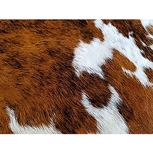 Brindle White Belly Cowhide Rug Cow Hide Skin Leather Area Rug: Large