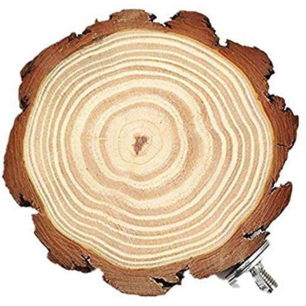 HUANRI 2 Pieces a Pack Nature Wooden Bird Perches Pet Bird Cage Platform Stand PerchES for Small Animals Parrot Parakeet Cockatiel Budgie (4-4.7inches)